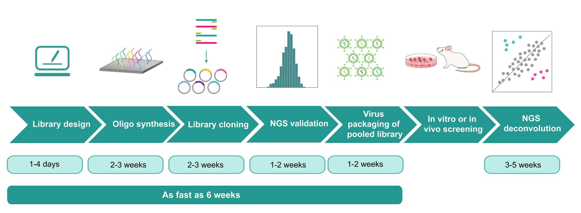 Mutation Library Construction | VectorBuilder